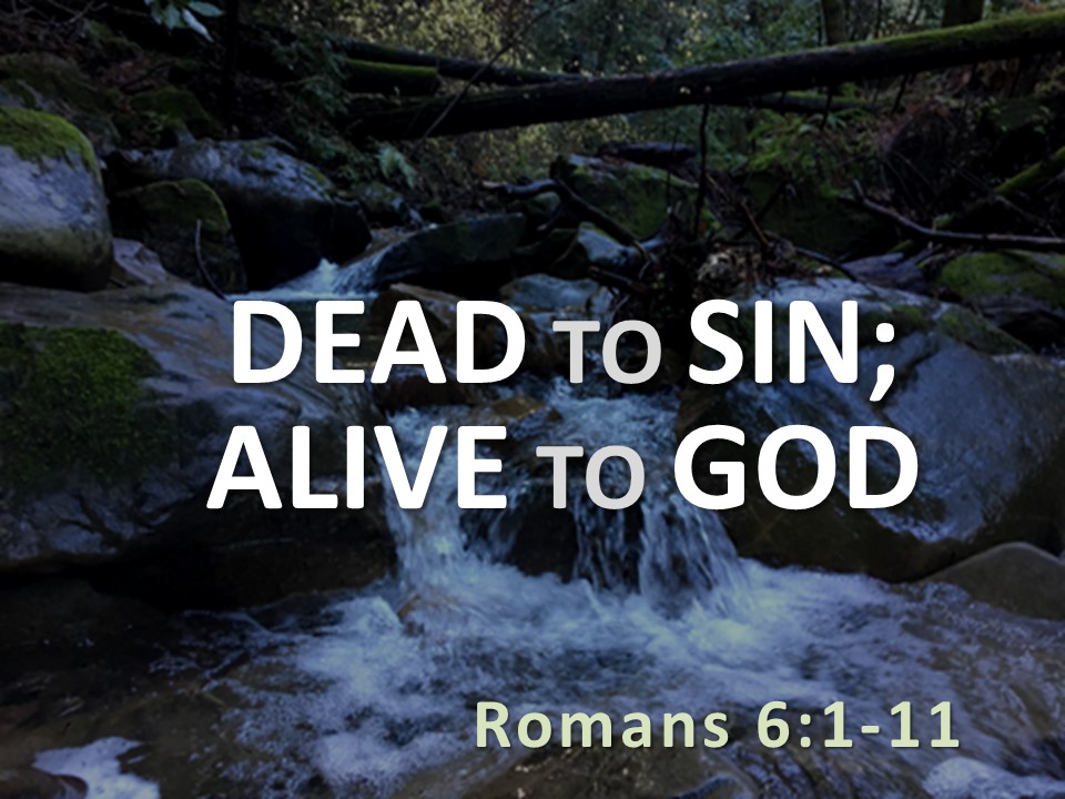 Dead to Sin; Alive to God – Mount Olive Ministries